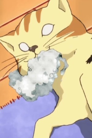 Pochi | Anime-Planet