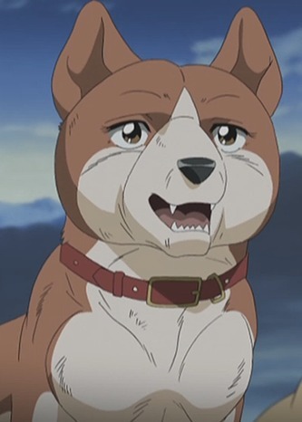 Reika | Anime-Planet