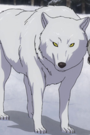 Retar | Anime-Planet