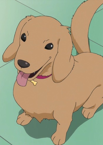 Sable | Anime-Planet