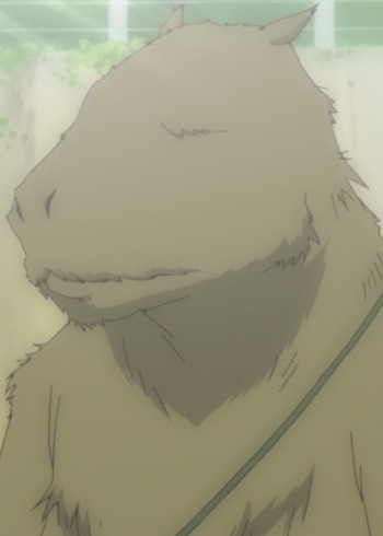 Santo | Anime-Planet