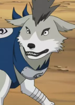 Shiba | Anime-Planet