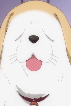Shiitake | Anime-Planet
