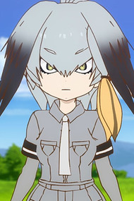 Shoebill | Anime-Planet