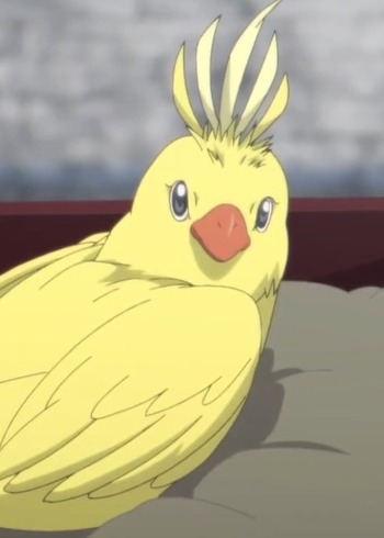 Shu Jin | Anime-Planet