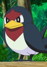 Taillow | Anime-Planet