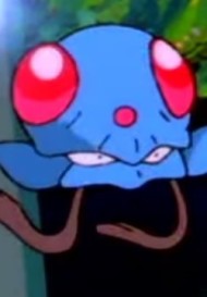 Tentacool | Anime-Planet