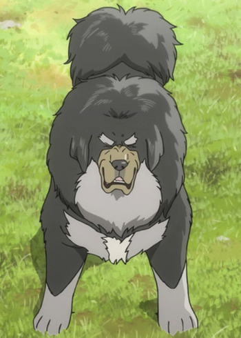 Tibetan Mastiff King | Anime-Planet