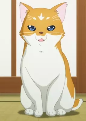 Toast | Anime-Planet