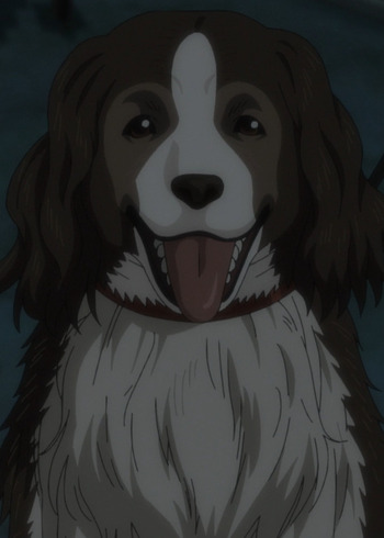 Toby | Anime-Planet