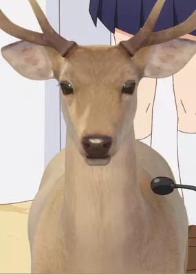 Deer Characters | Anime-Planet