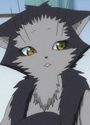 Wolf Assassin | Anime-Planet