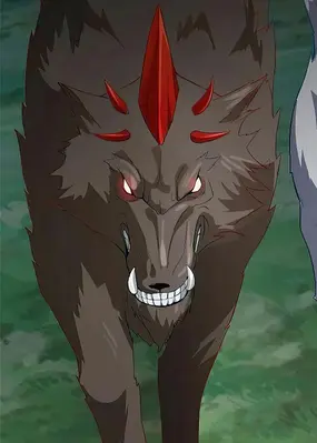Wolf King | Anime-Planet