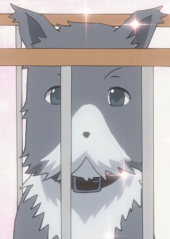 Yachiyo's Dog A | Anime-Planet