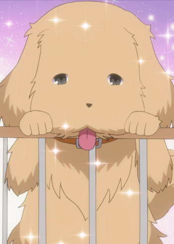 Yachiyo's Dog B | Anime-Planet