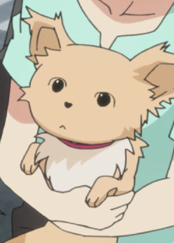 Yachiyo's Dog C | Anime-Planet
