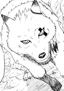 Zero | Anime-Planet