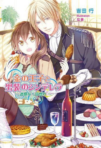 Kin no Ouji to Dansou no Cinderella: Meiwaku na Hitomebore (Light Novel ...