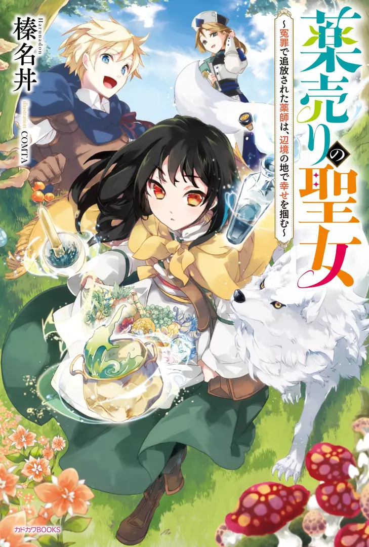 10 Manga Like Kusuri Uri no Seijo: Enzai de Tsuihousareta Kusushi wa ...