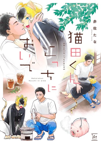 Nekota-kun Kocchi ni Oide Manga | Anime-Planet