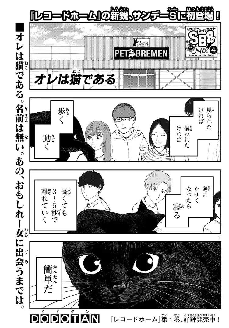 Ore wa Neko de Aru Lists | Anime-Planet